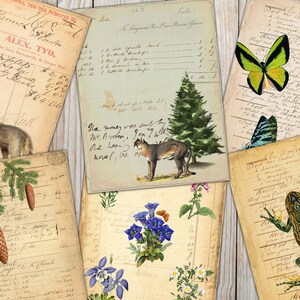 Digital Junk Journal Paper, Vintage Nature Ledger, Journal Ephemera ...