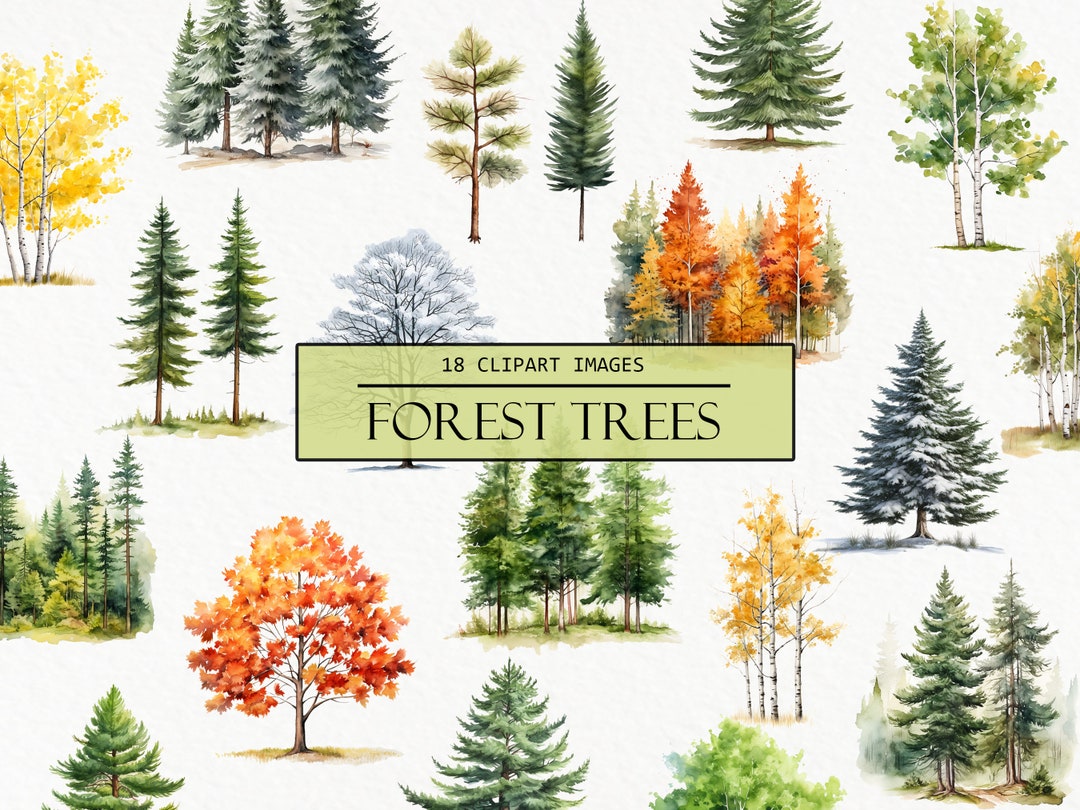 Watercolor Forest Trees Clipart: Pine, Maple, Aspen (digital Download ...