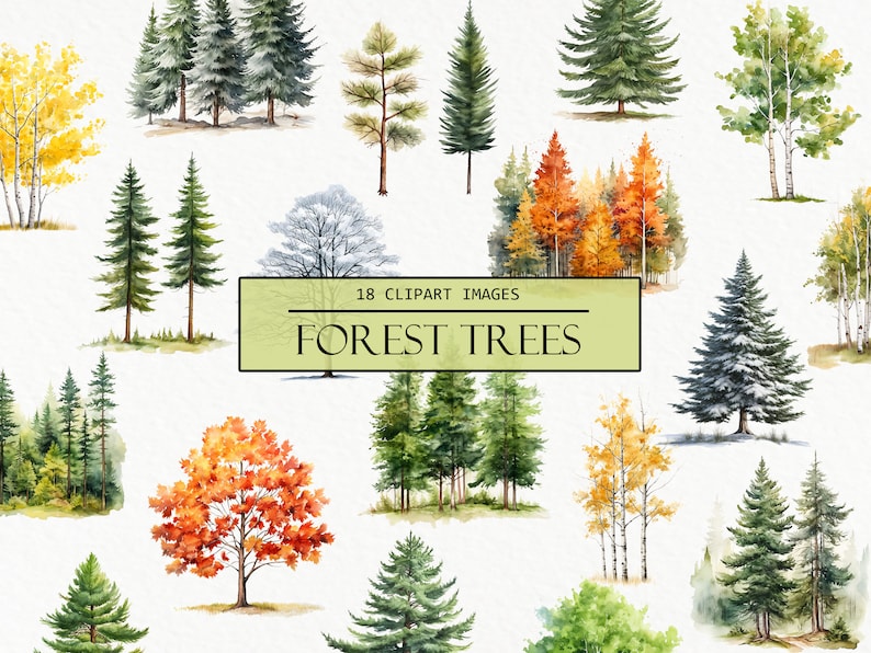 Watercolor Forest Trees Clipart: Pine, Maple, Aspen (digital Download ...