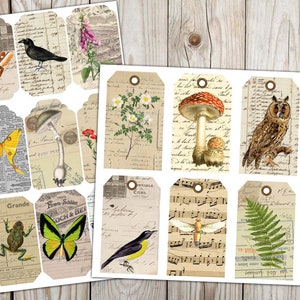 Vintage Nature Tags, Forest Ephemera, Antique Print, Journal Cards ...