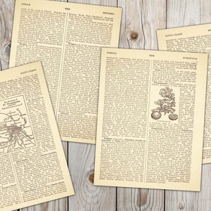 Printable Vintage Papers, Encyclopedia Pages, Antique Junk Journal, Old ...