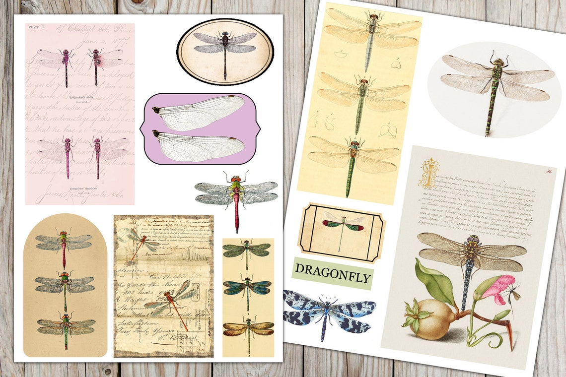 Vintage Dragonfly Ephemera Kit: Junk Journal Collage Supplies (digital ...