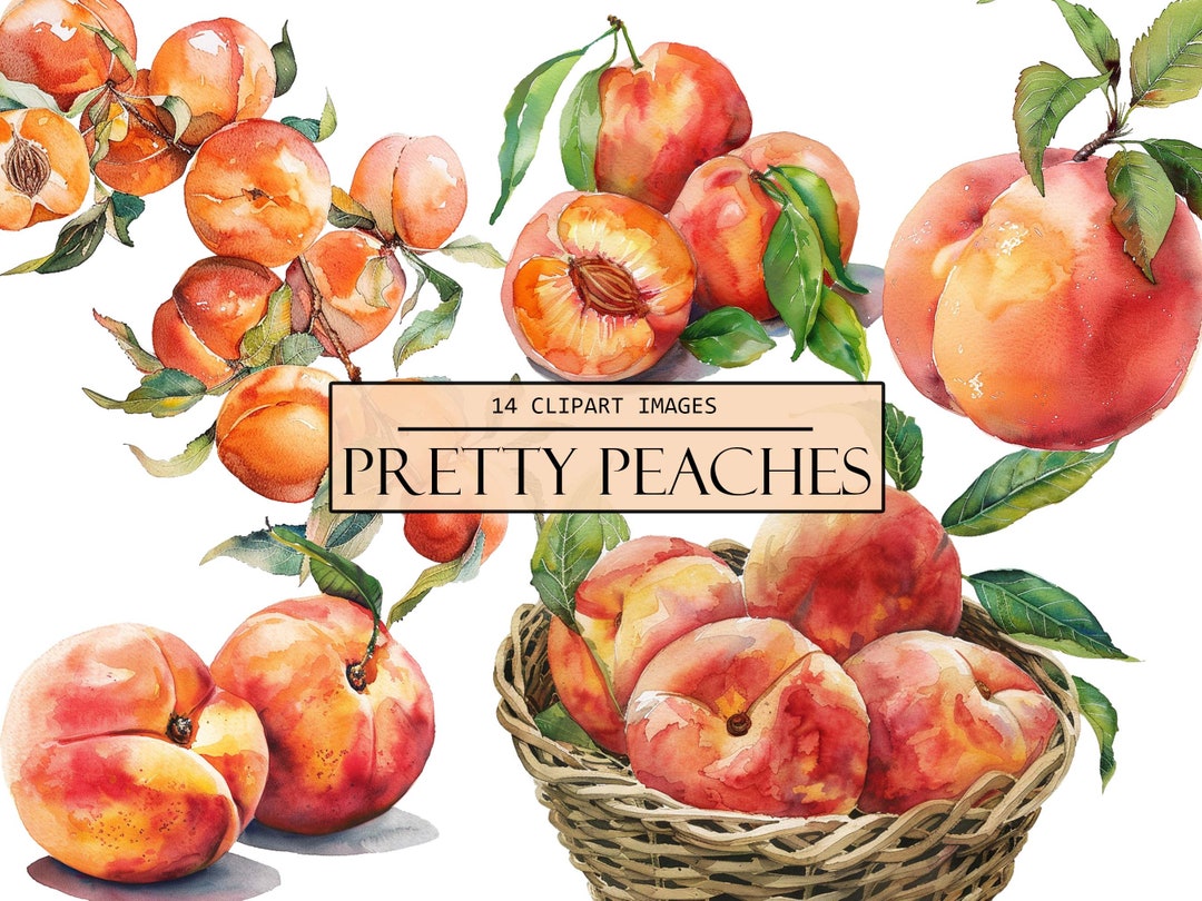 Watercolor Peaches Clipart, Fruit Sublimation, Peach Images, Fruity ...