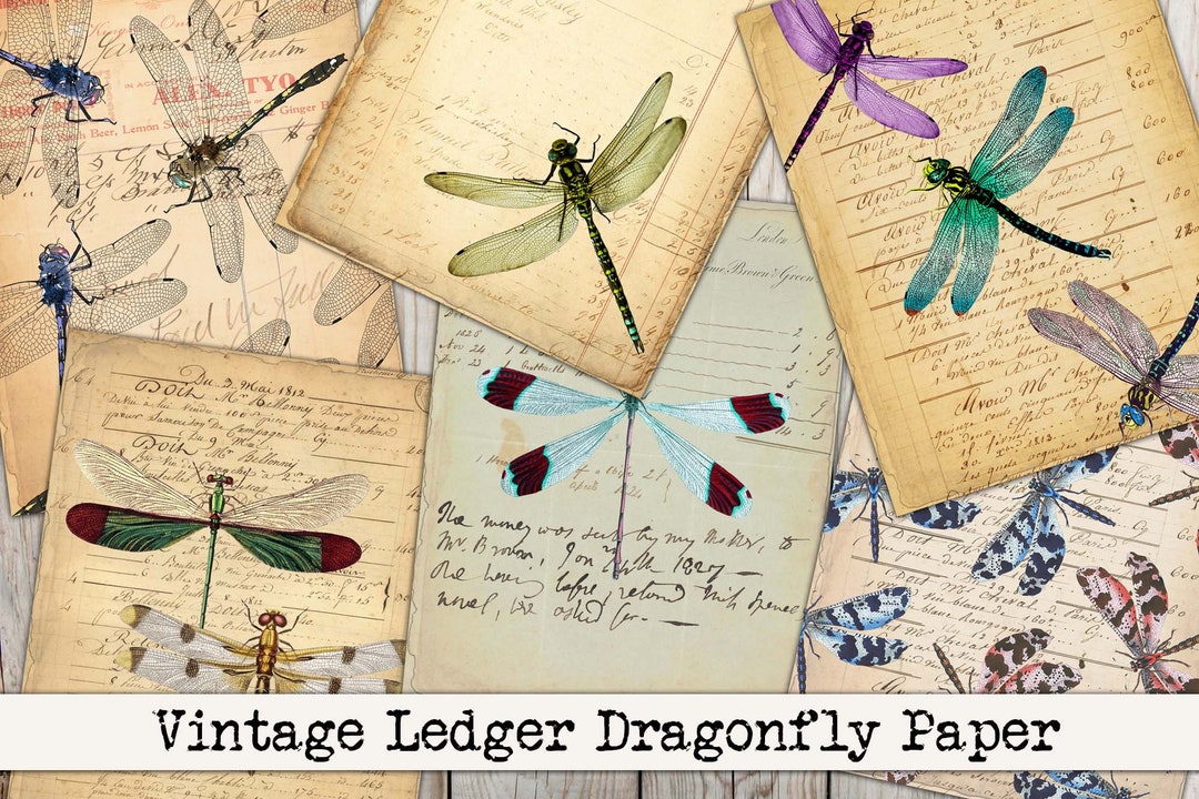Digital Junk Journal Paper, Vintage Dragonfly Ledger, Journal Ephemera ...