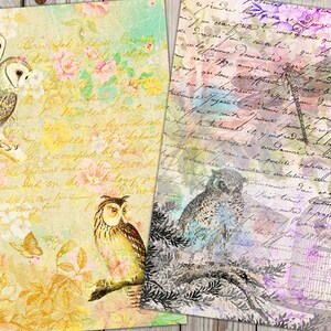 Printable Owl Collage Pages, Digital Vintage Paper, Ephemera, Owl ...