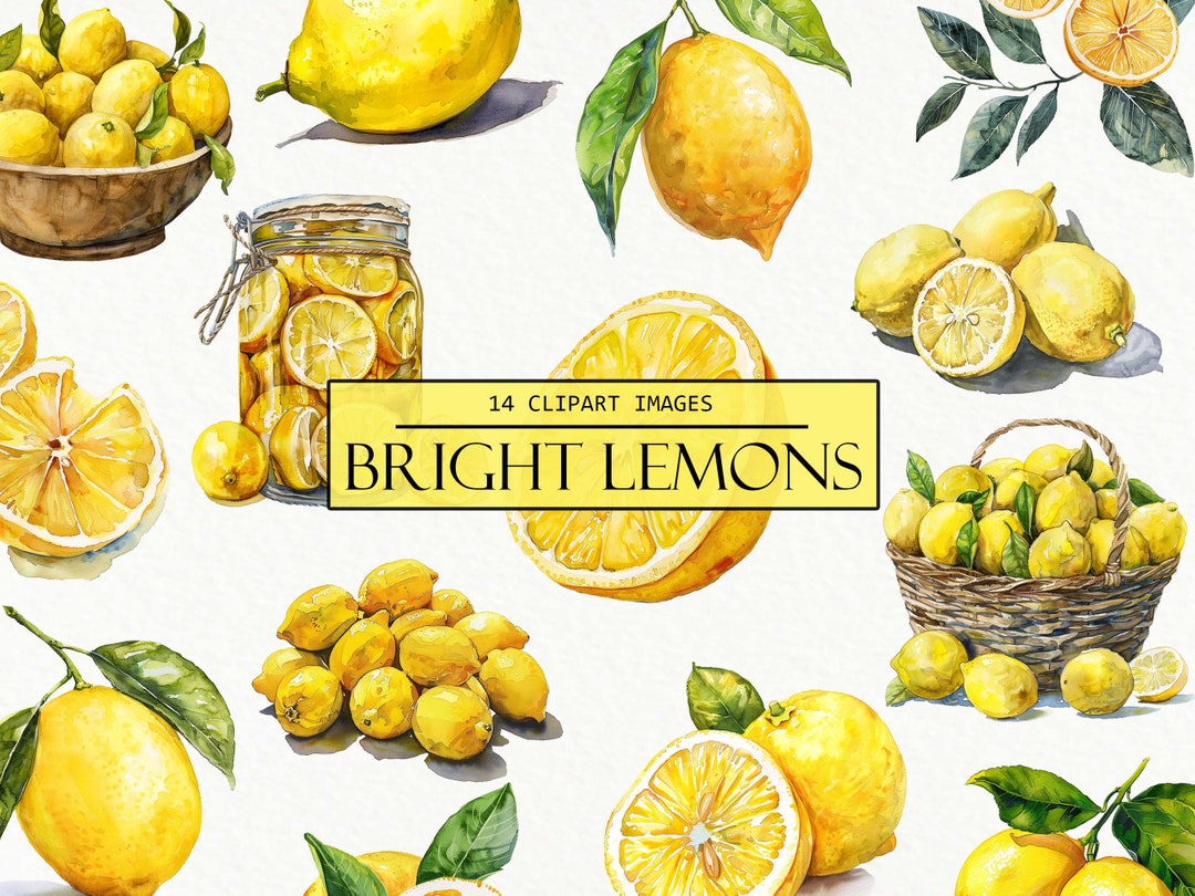 Watercolor Lemons Clipart, Fruit Sublimation, Lemon Images, Yellow ...