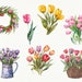 Watercolor Spring Tulips Clipart, Colorful Flower Images, Seasonal ...