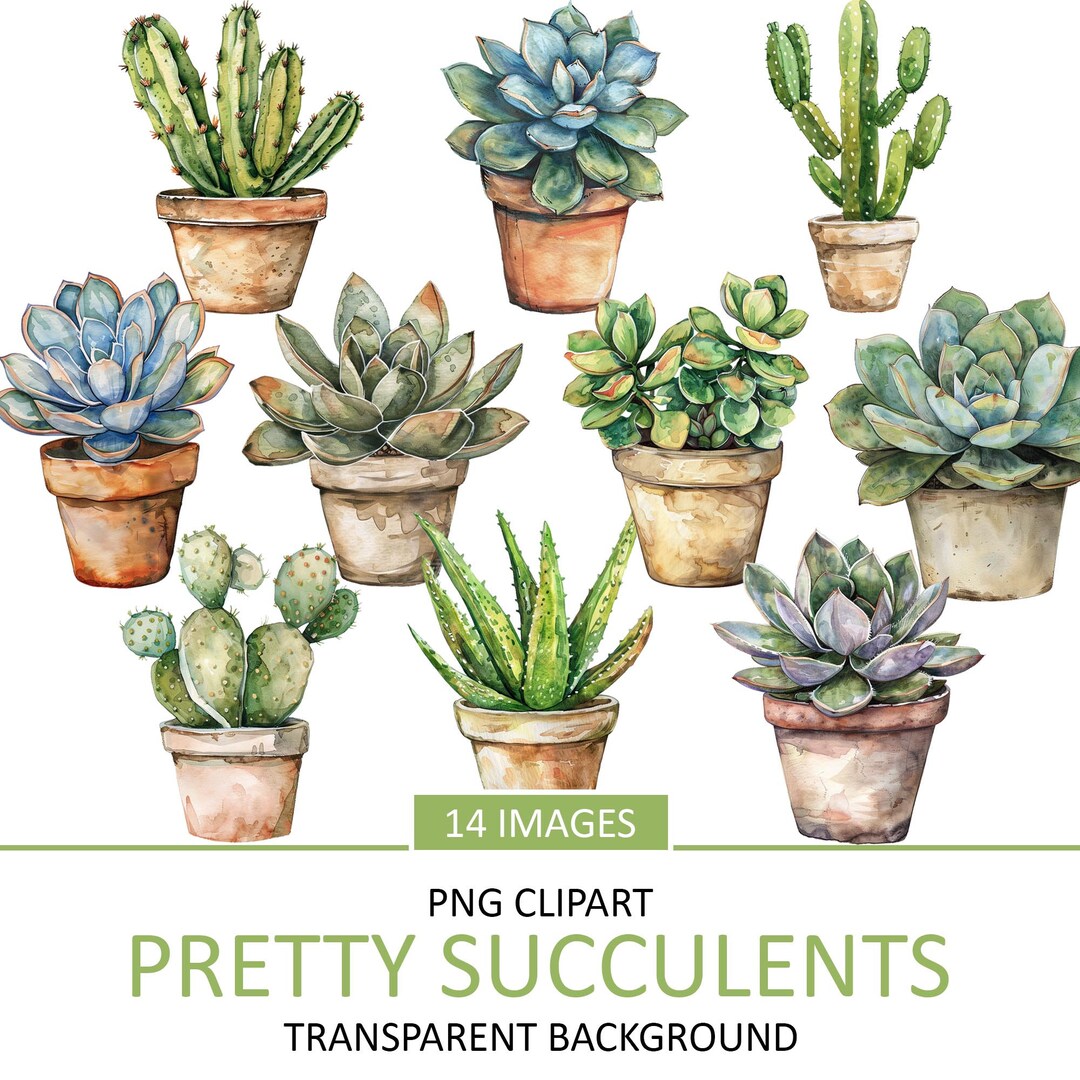 Watercolor Pretty Succulents Clipart, Cactus Image Sublimation, Green ...
