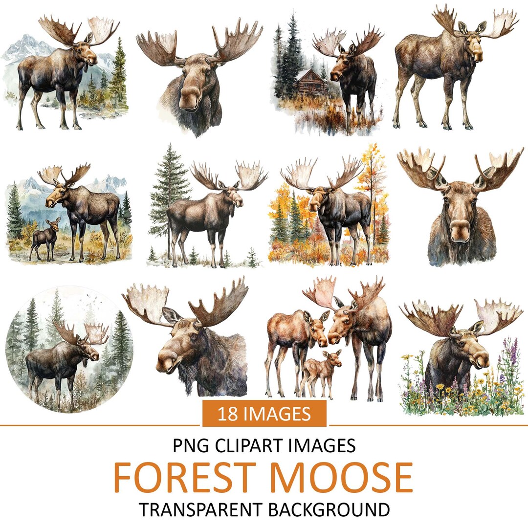 Watercolor Moose Clipart: Forest Animal PNG Images (commercial Use) - Etsy
