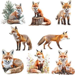 Watercolor Red Fox Clipart, Forest Animals, Nature Clip Art Sublimation ...
