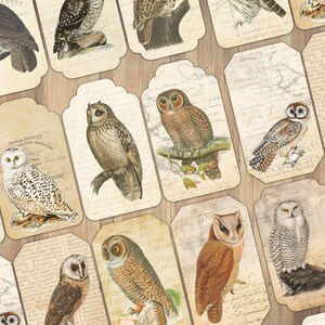Vintage Owl Tags, Printable Ephemera, Antique Bird, Gift Tag, Journal ...