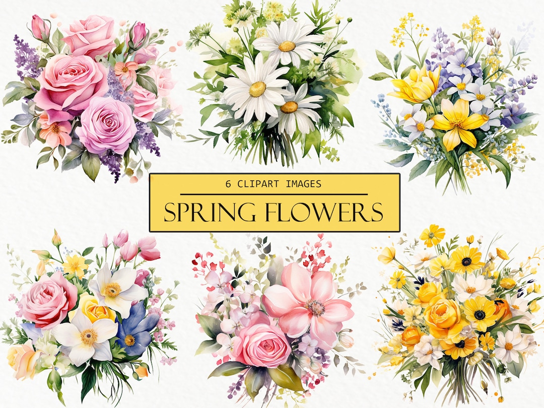 Watercolor Spring Floral Clipart: Rose & Daisy Bouquet (digital ...