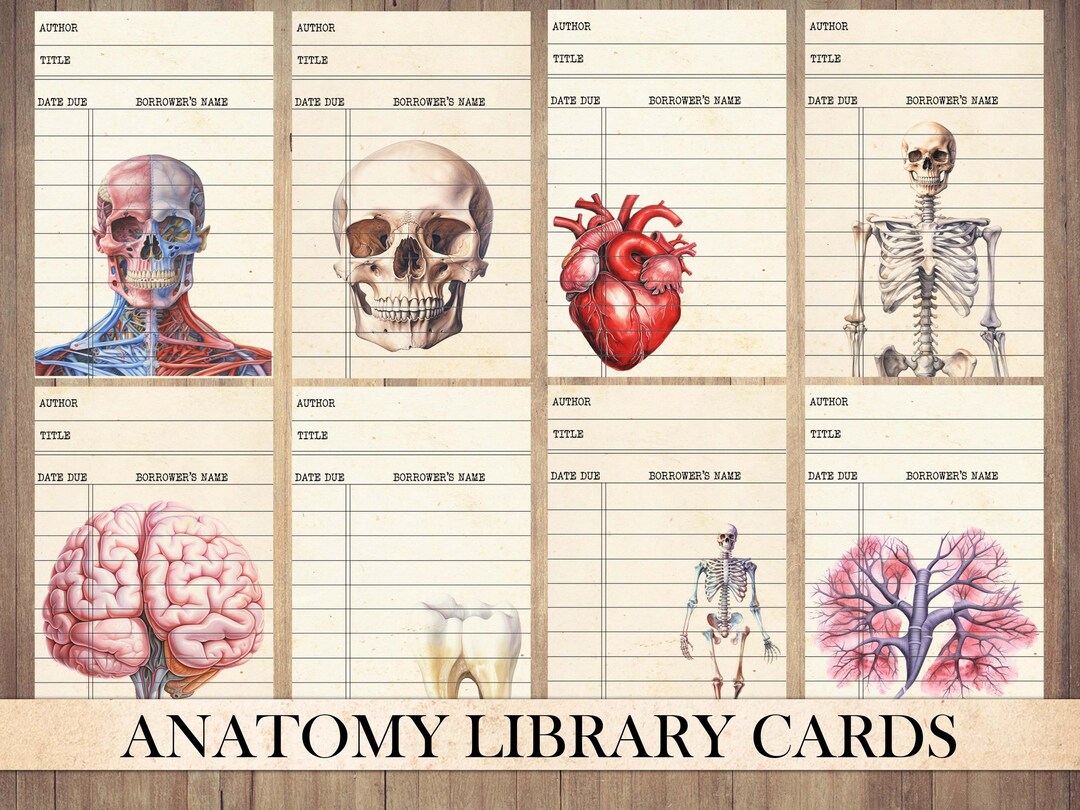 Printable Vintage Anatomy Library Cards, Fussy Cut, Ephemera Pack, Junk ...