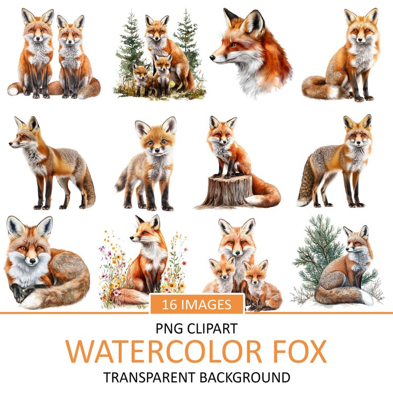 Watercolor Red Fox Clipart: Forest Animal PNG Images (digital Download ...