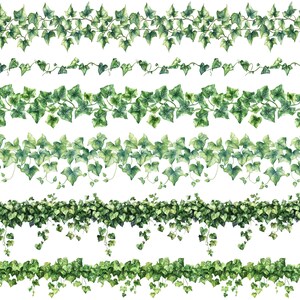 Seamless Ivy Border Clipart: Greenery Decoration (digital Download) - Etsy