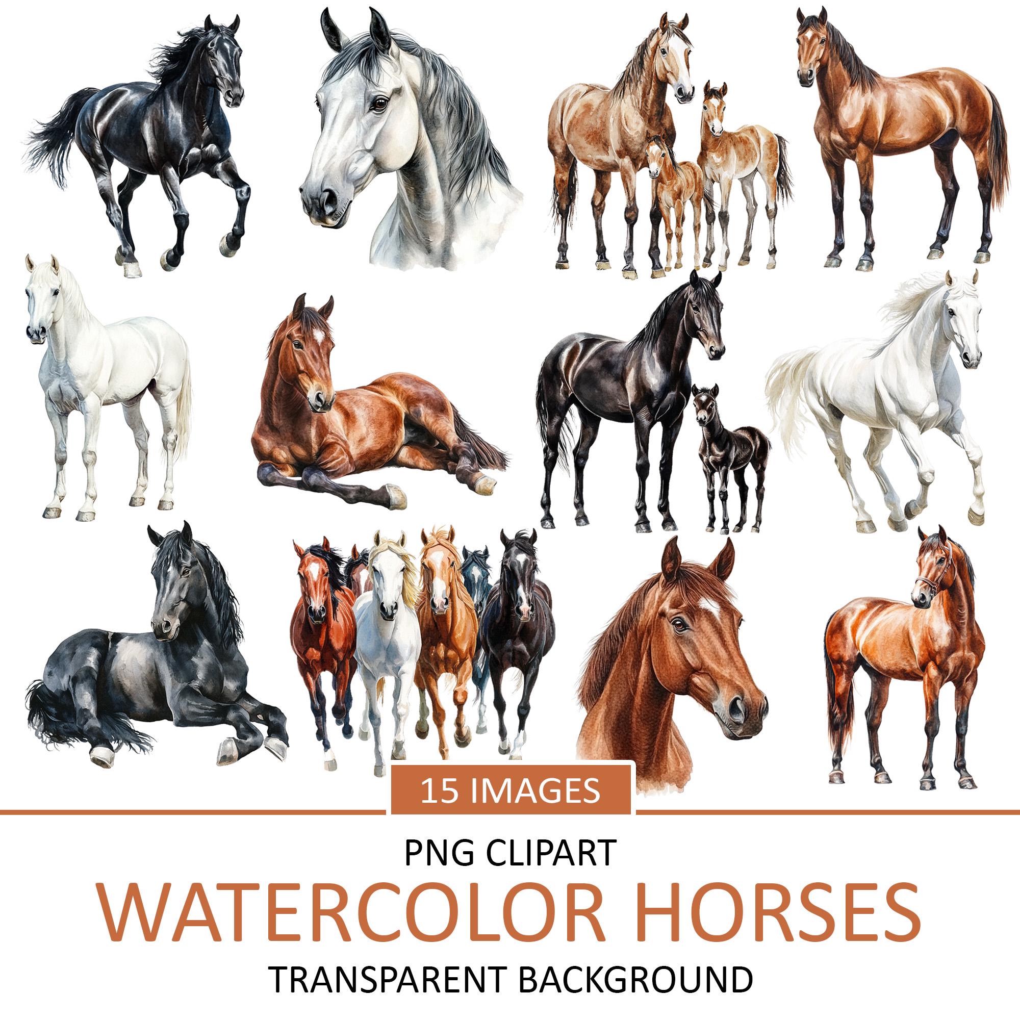 Watercolor Horses Clipart: Equine PNG Images (commercial Use) - Etsy UK