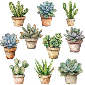 Watercolor Pretty Succulents Clipart, Cactus Image Sublimation, Green ...
