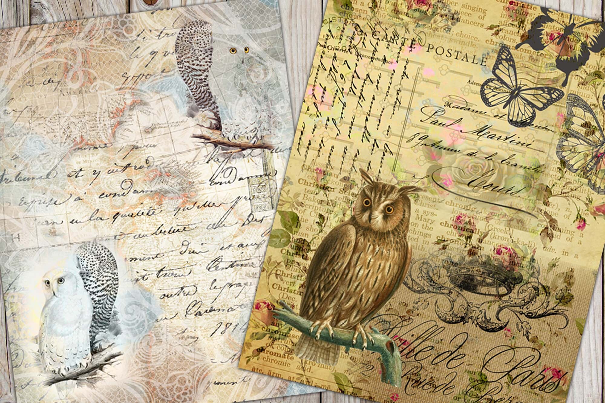 Printable Owl Collage Pages Digital Vintage Paper Ephemera - Etsy