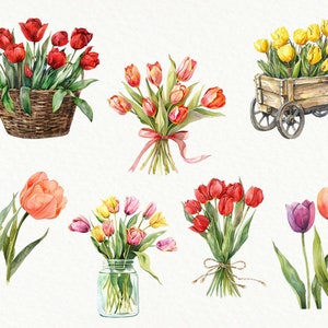 Watercolor Spring Tulips Clipart, Colorful Flower Images, Seasonal ...