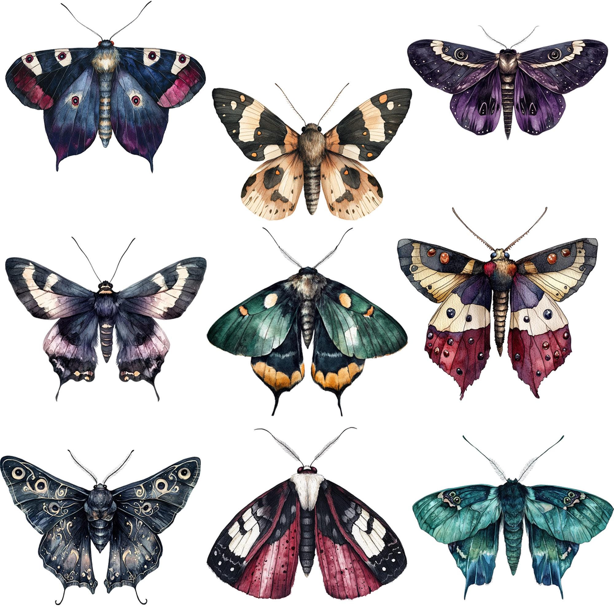 Watercolor Gothic Moths Clipart: PNG Images (digital Download) - Etsy