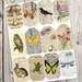 Vintage Nature Tags, Forest Ephemera, Antique Print, Journal Cards ...