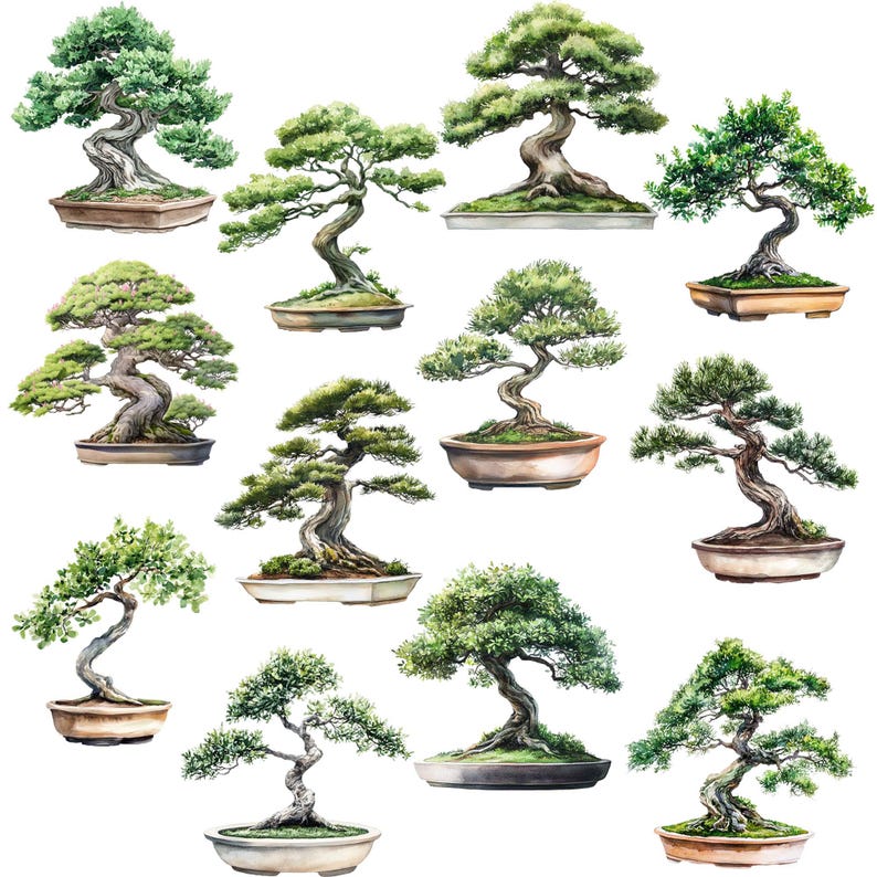 Watercolor Bonsai Trees Clipart: Japanese Art (digital Download) - Etsy