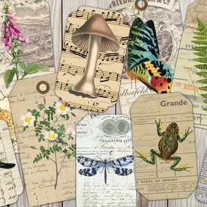 Vintage Nature Tags, Forest Ephemera, Antique Print, Journal Cards ...