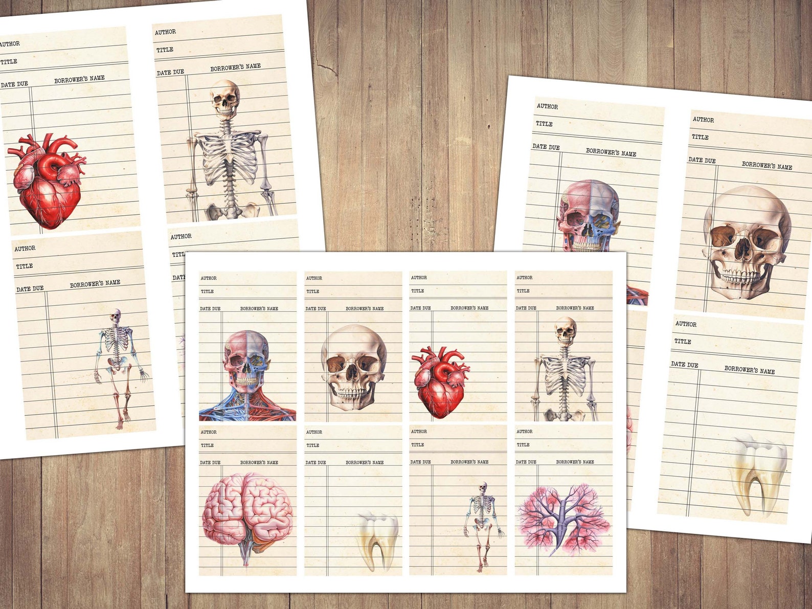 Printable Vintage Anatomy Library Cards: Junk Journal Ephemera (digital ...