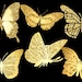 Gold Sparkle Butterfly Clipart Pack, Butterflies PNG, Metallic ...