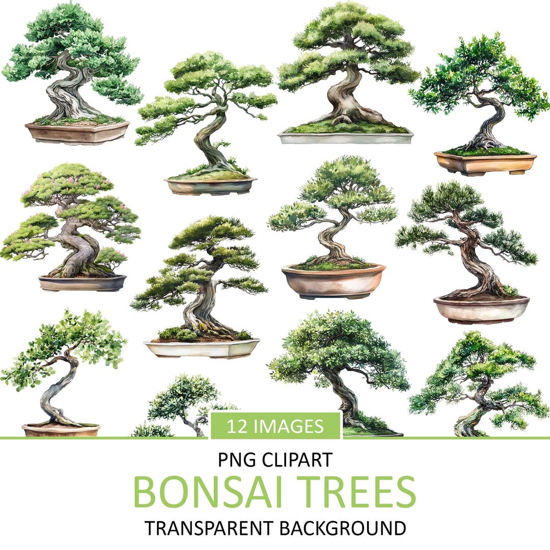 Watercolor Bonsai Trees Clipart, Nature Design, Clip Art Sublimation ...