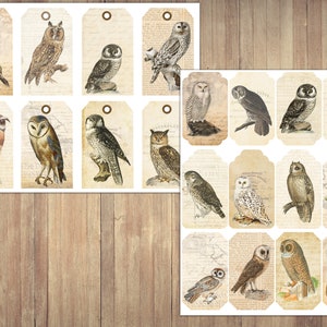 Vintage Owl Tags, Printable Ephemera, Antique Bird, Gift Tag, Journal ...
