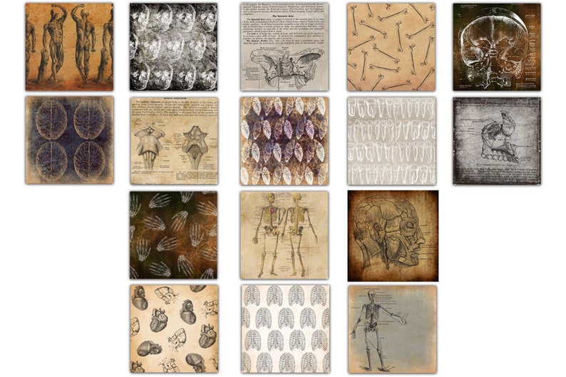 Vintage Anatomy Scrapbook Kit: Ephemera, Junk Journal (digital Download ...