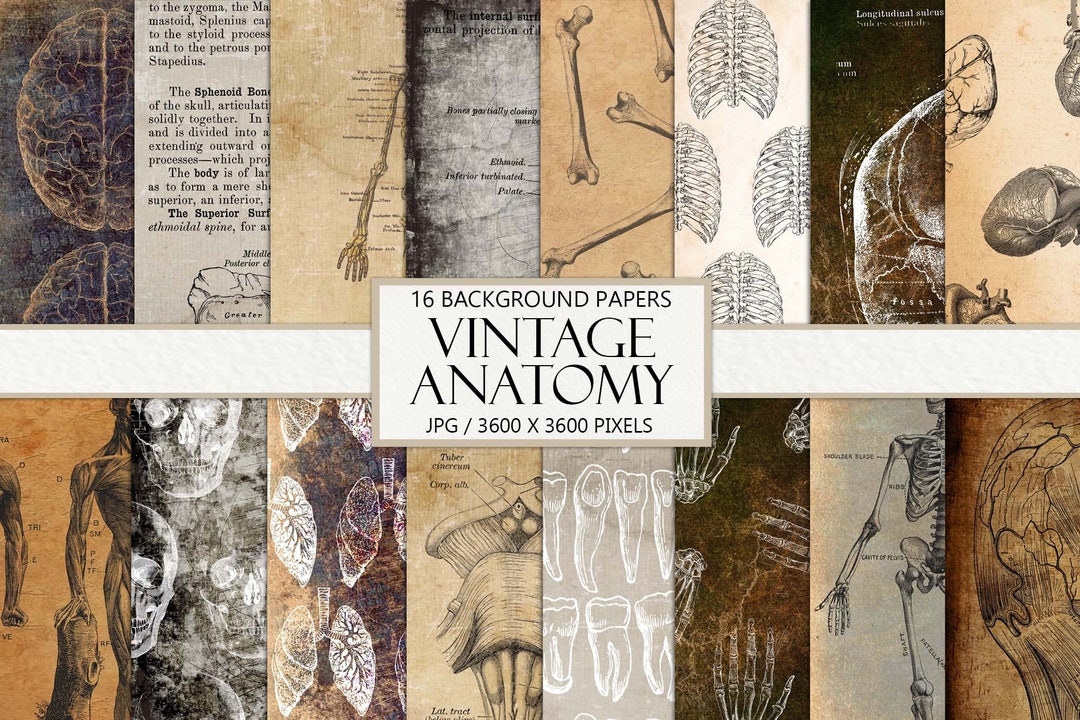 Vintage Anatomy Papers, Scrapbook, Junk Journal Paper, Distressed ...