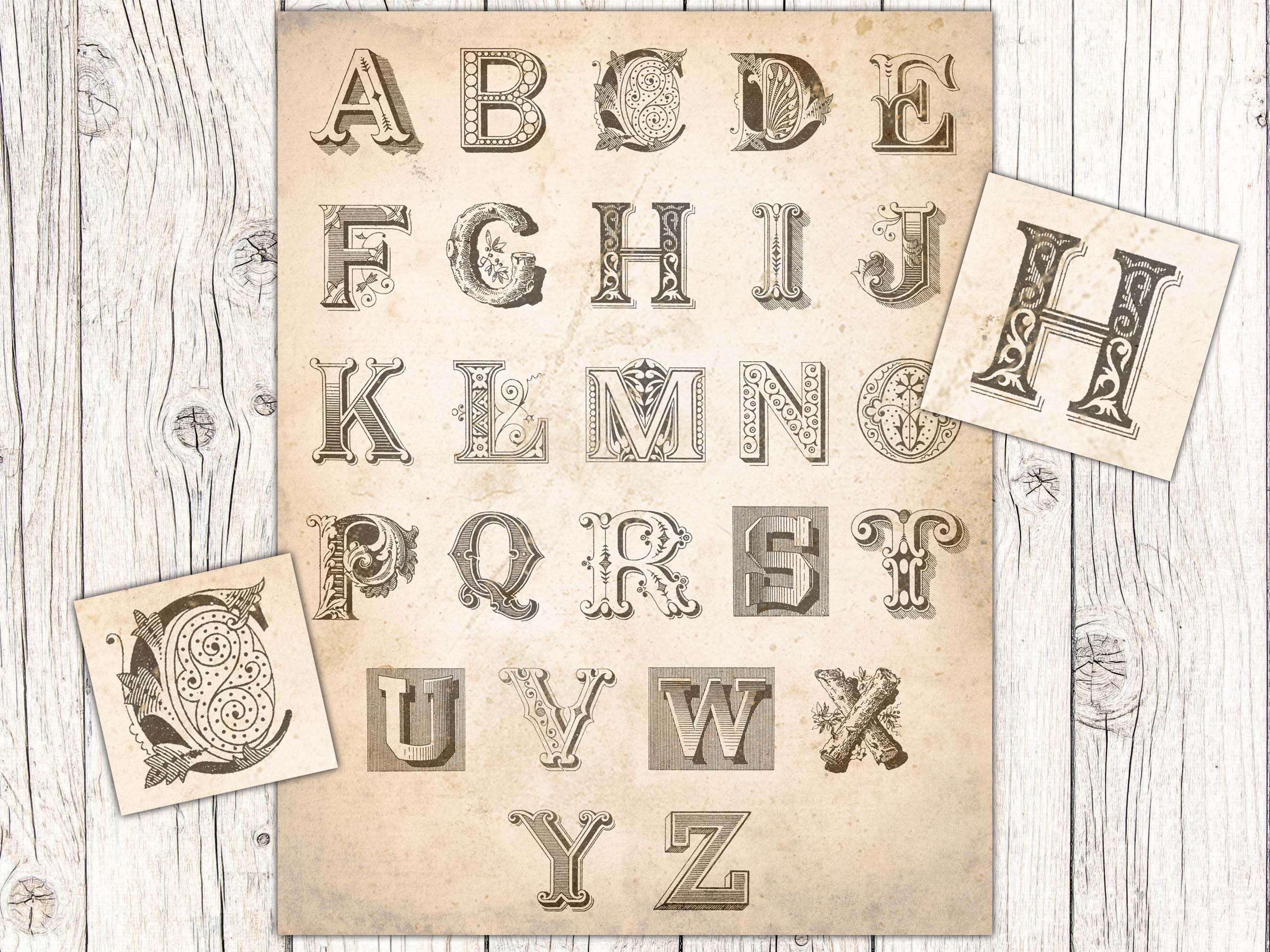 Antique Ornamental Alphabet: Printable Typography Ephemera (digital ...