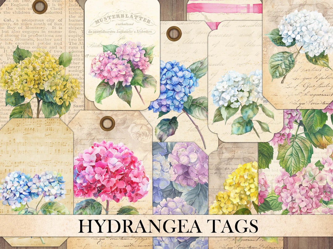 Vintage Hydrangeas Tags, Floral Junk Journal Ephemera, Antique Scraps ...