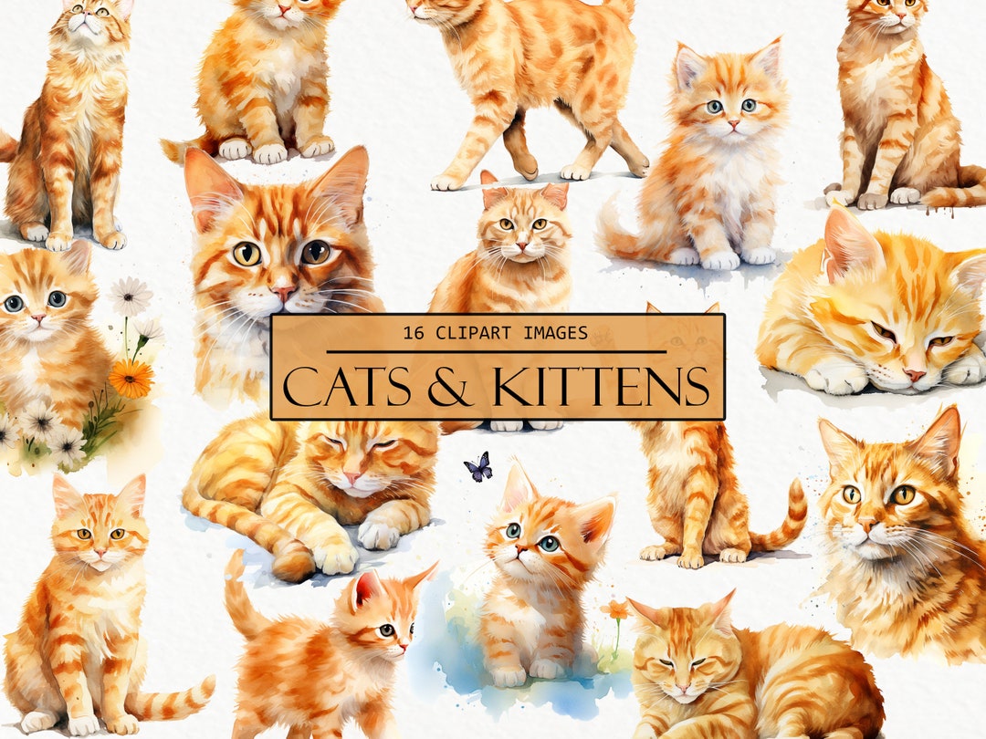 Watercolor Orange Cat Clipart: Kitten PNG Images, Commercial Use ...