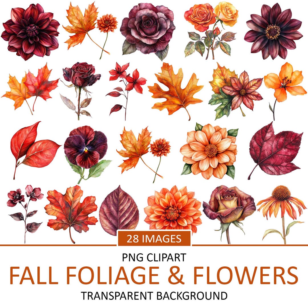 Watercolor Fall Foliage & Flowers Clipart, Autumn Floral Illustration ...