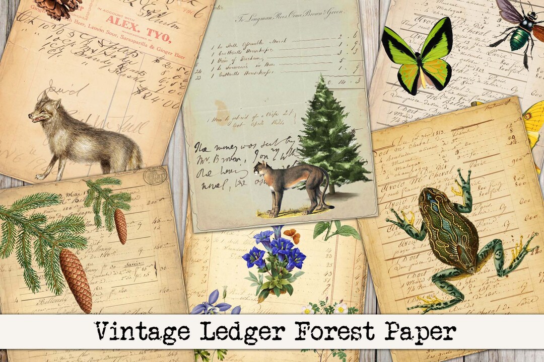 Digital Junk Journal Paper, Vintage Nature Ledger, Journal Ephemera ...