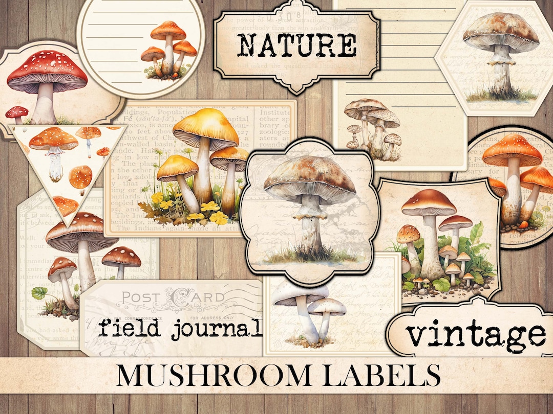 Vintage Mushroom Labels: Junk Journal Ephemera (digital Download) - Etsy