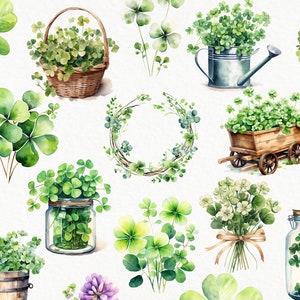 Watercolor Vintage Clover Clipart, Shamrock Sublimation, Four Leaf ...