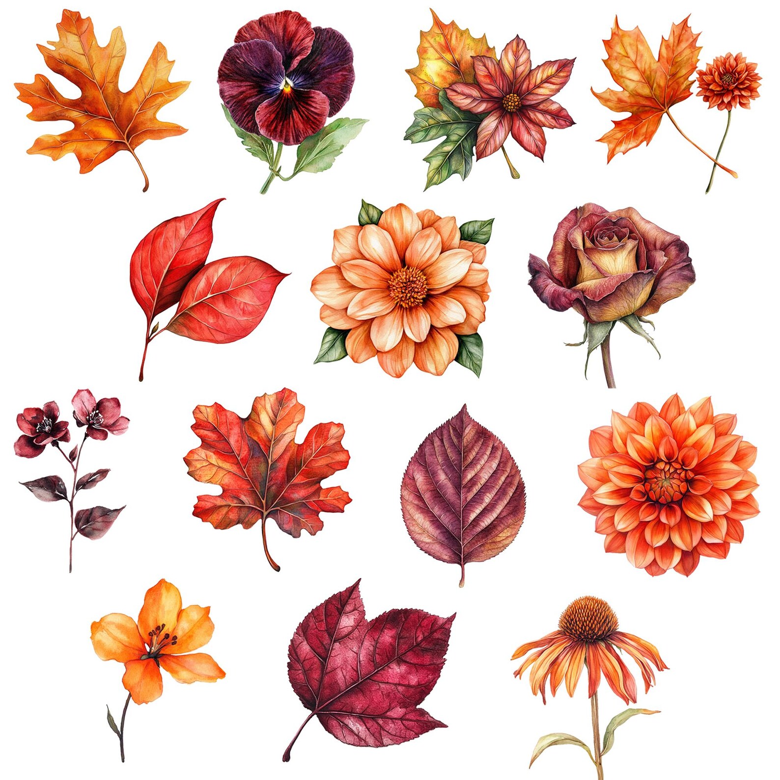 Watercolor Fall Foliage Clipart: Autumn Floral PNG Images (digital ...