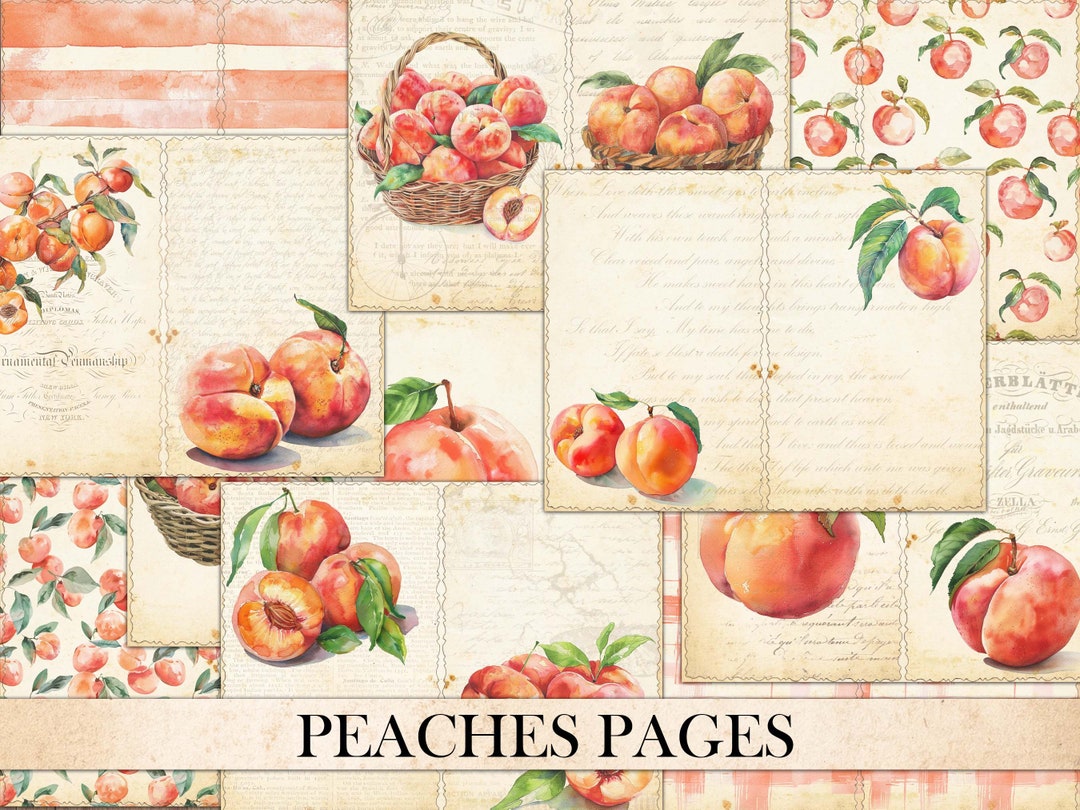 Printable Junk Journal Paper, Vintage Peaches, Signature Sheets ...