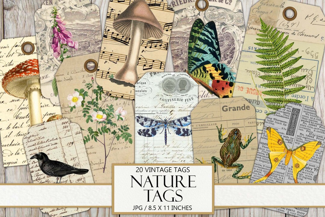 Vintage Nature Tags, Forest Ephemera, Antique Print, Journal Cards ...