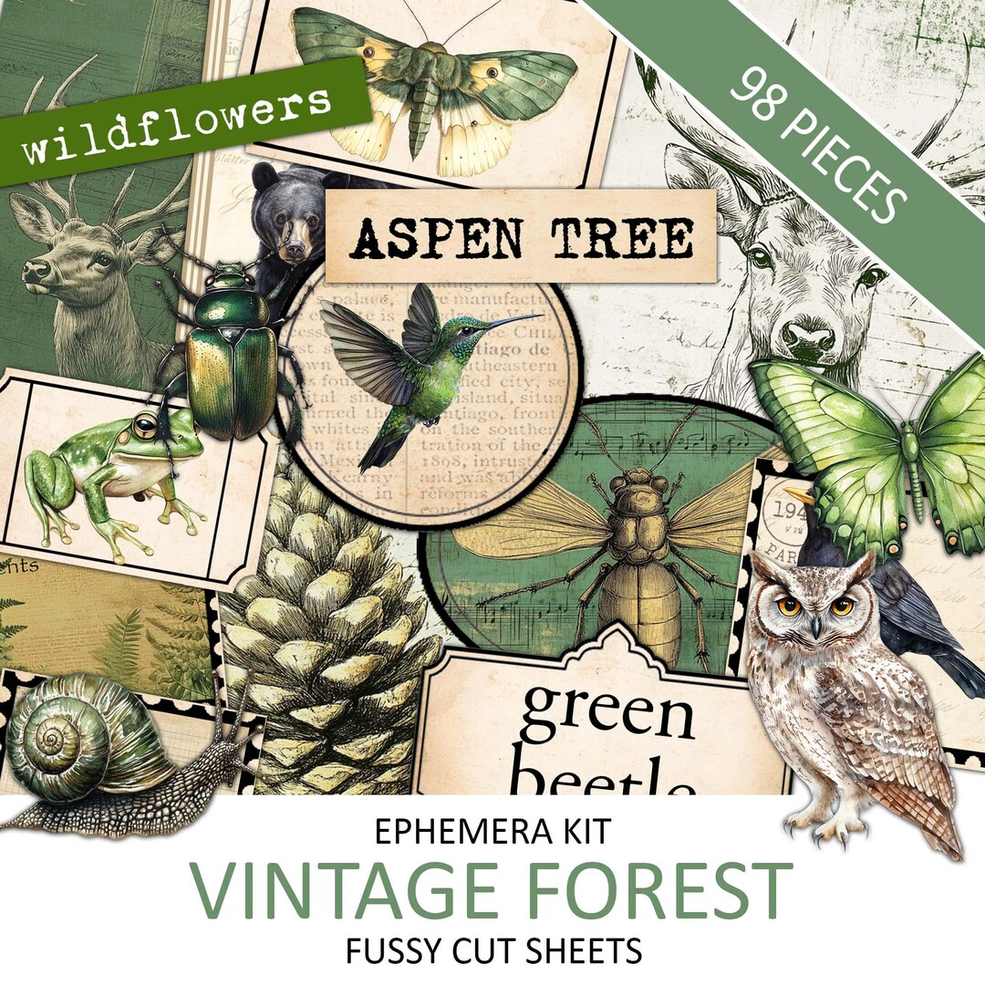 Watercolor Forest Ephemera Kit: Vintage Nature Collage (digital ...