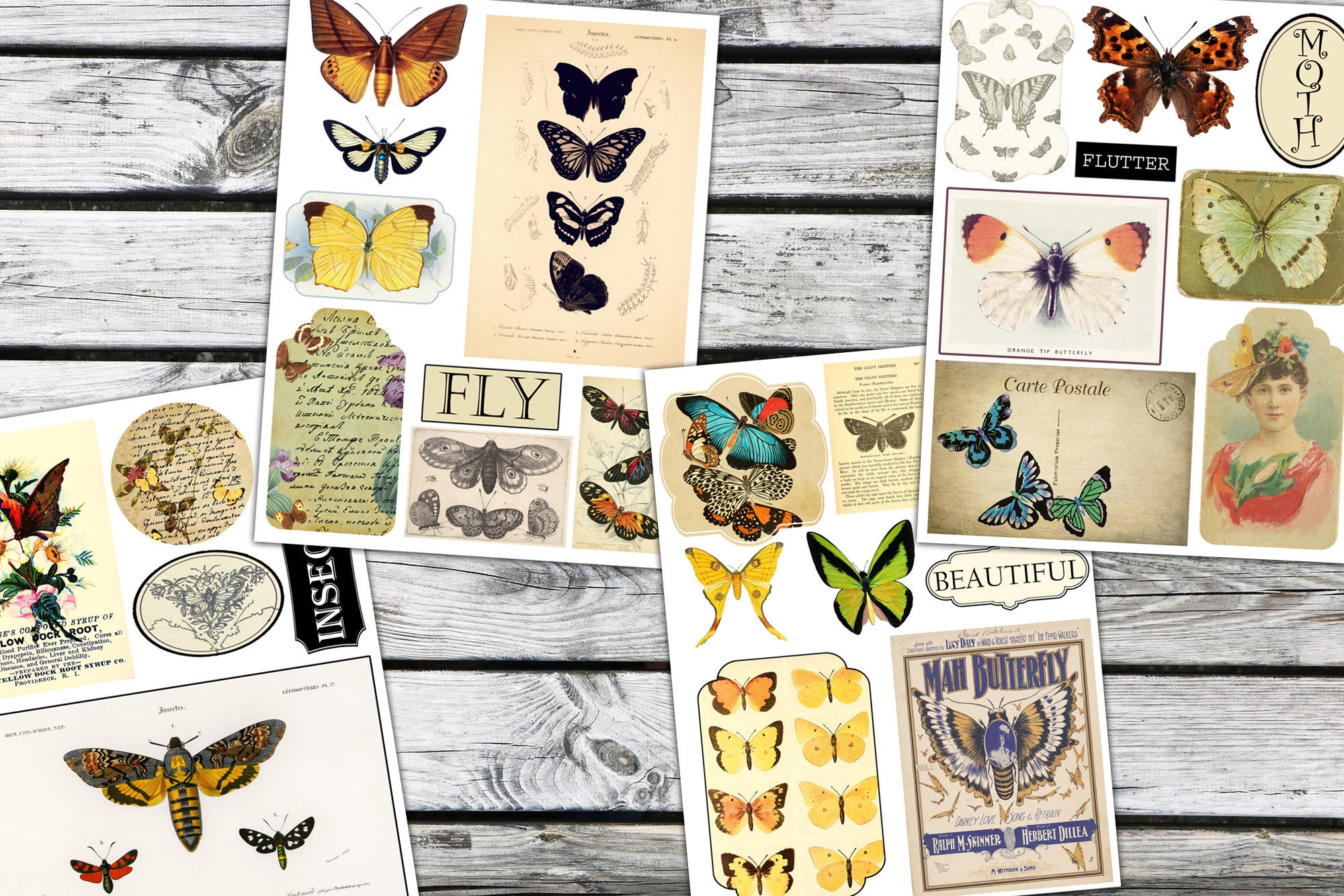 Printable Butterfly Ephemera Kit Vintage Moth Fussy Cut - Etsy