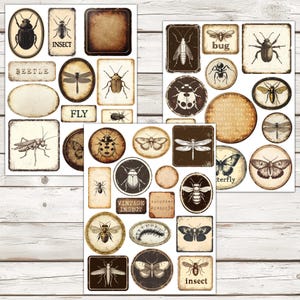 Antique Insect Labels Ephemera Kit, Printable Grunge Journal Scraps ...
