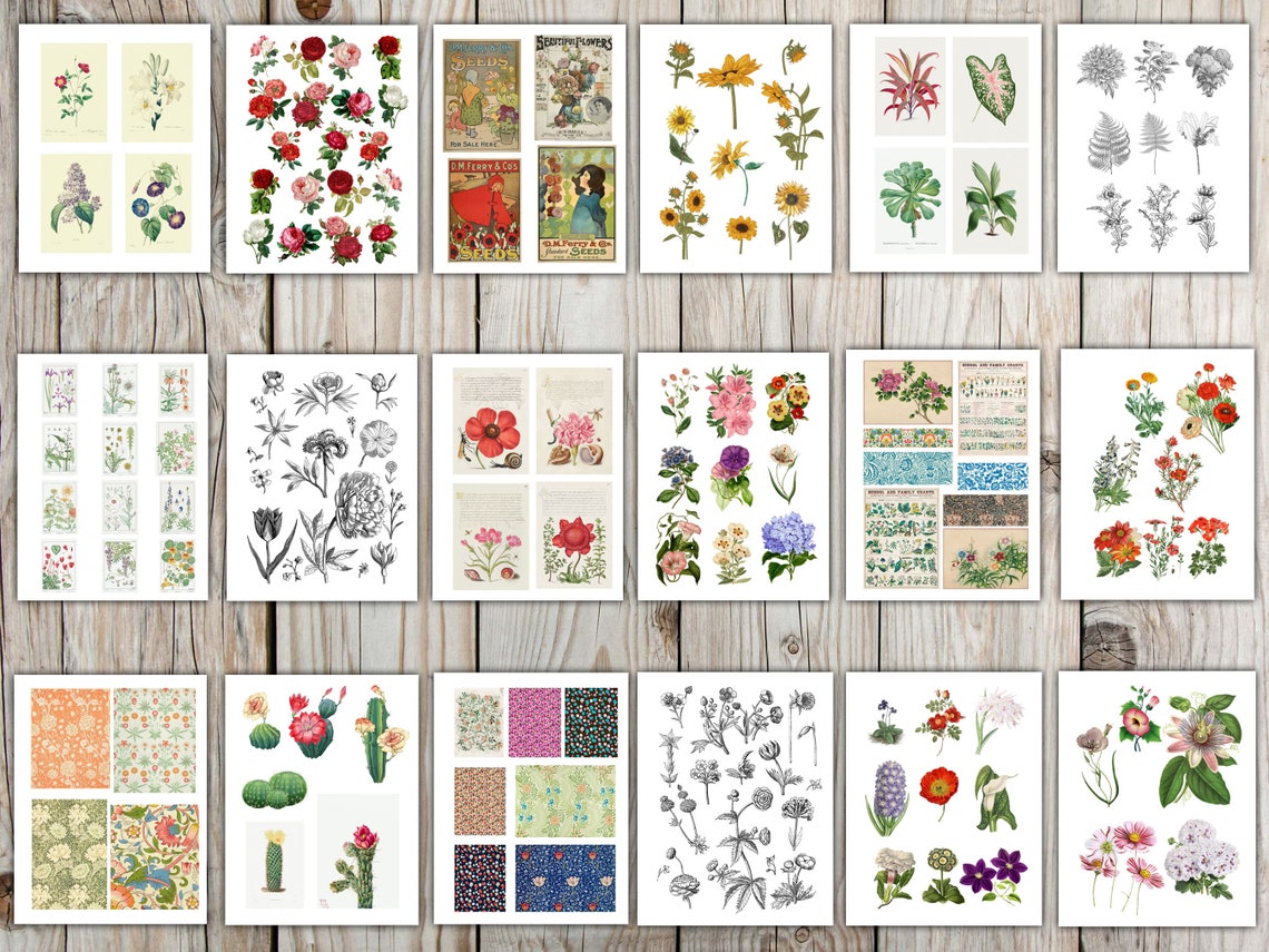 Printable Botanical Junk Journal Kit Kit Clipart Vintage - Etsy