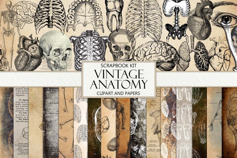 Vintage Anatomy Scrapbook Kit: Ephemera, Junk Journal (digital Download ...