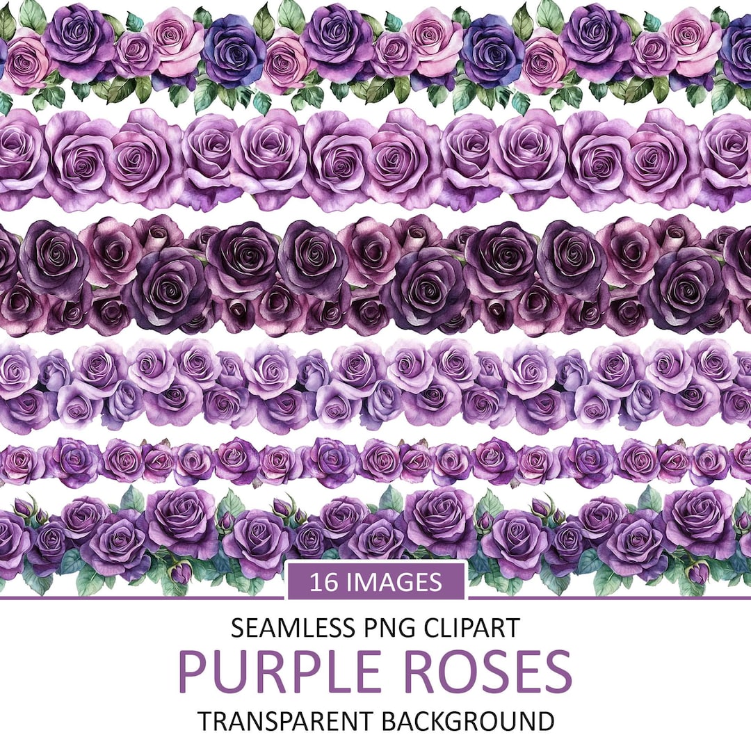 Seamless Purple Roses Border Clipart, Floral Design Decoration, Clip ...