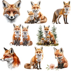 Watercolor Red Fox Clipart, Forest Animals, Nature Clip Art Sublimation ...